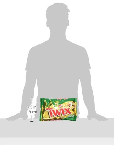 Twix Caramel Minis Chocolate Candy 11.5oz Bag – Nibbleq