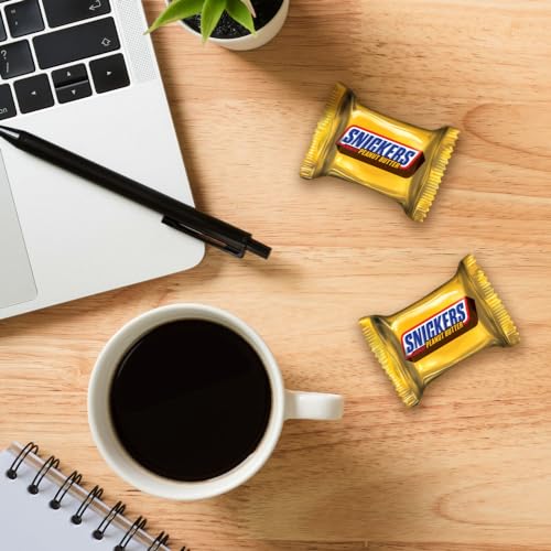 SNICKERS Crunchy Peanut Butter Squared Fun Size Milk Chocolate Candy ...